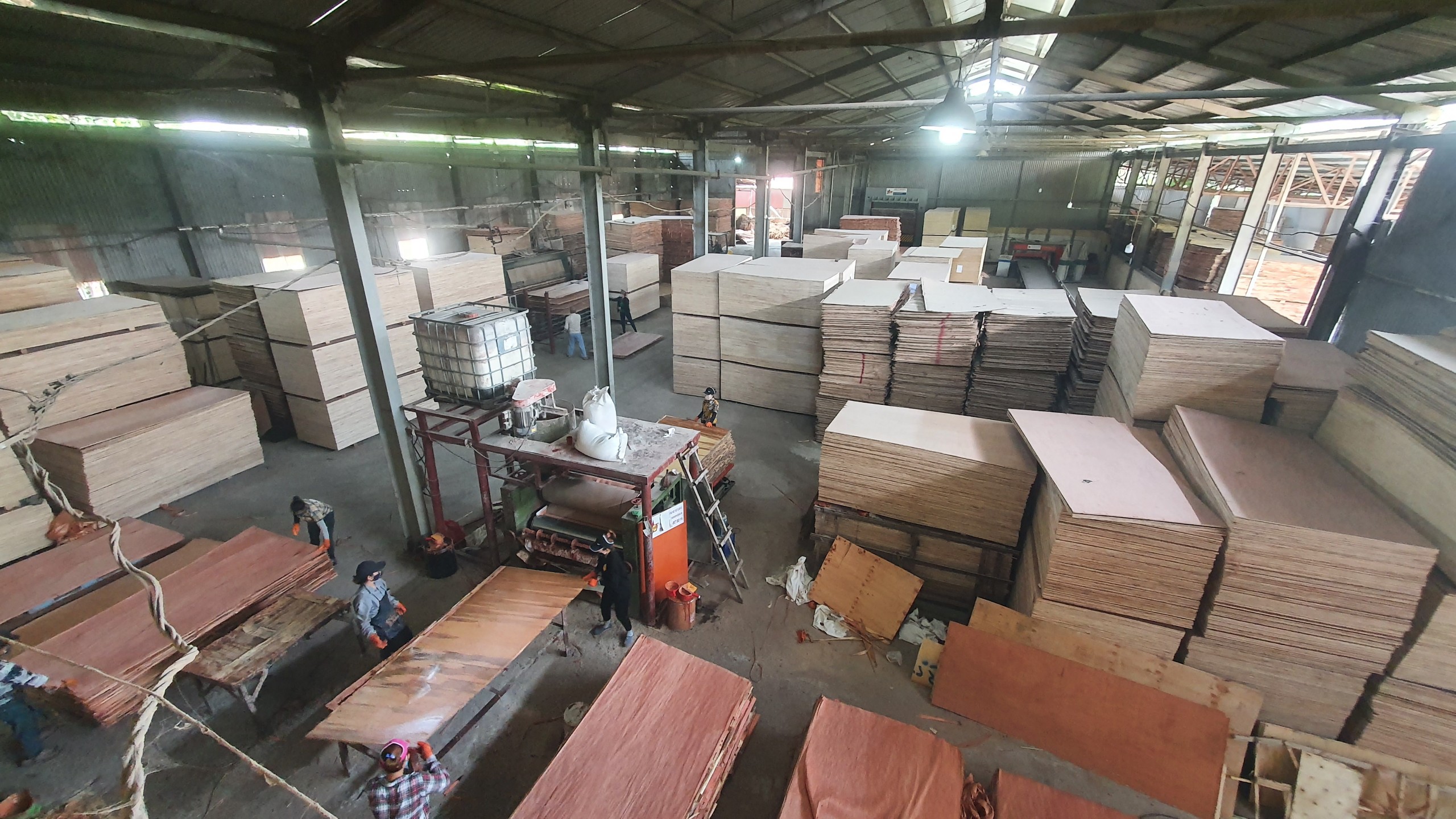 VIETNAM PLYWOOD SUPPLIER – Harmony Or Green